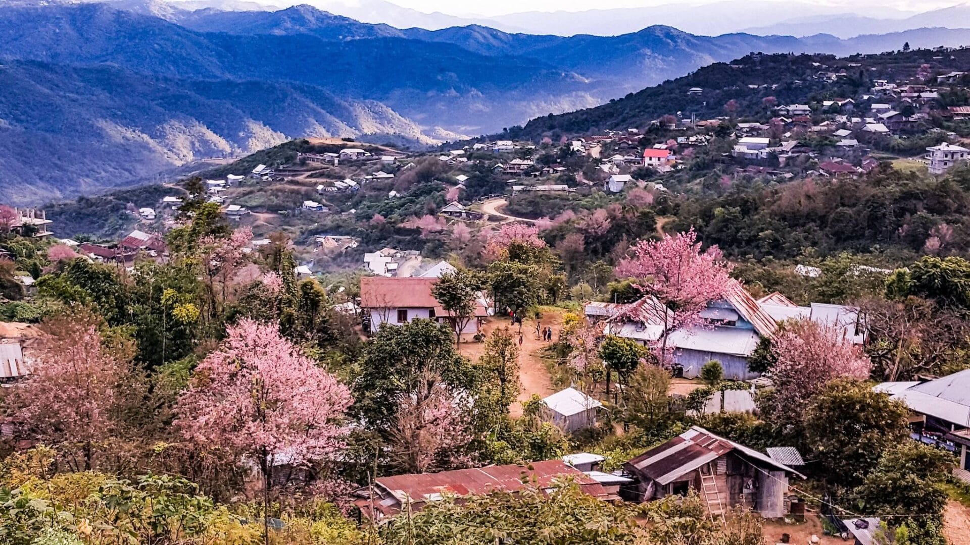 Ukhrul Enjoys The Lowest Covid-19 Positive Rates In The State » Ukhrul ...